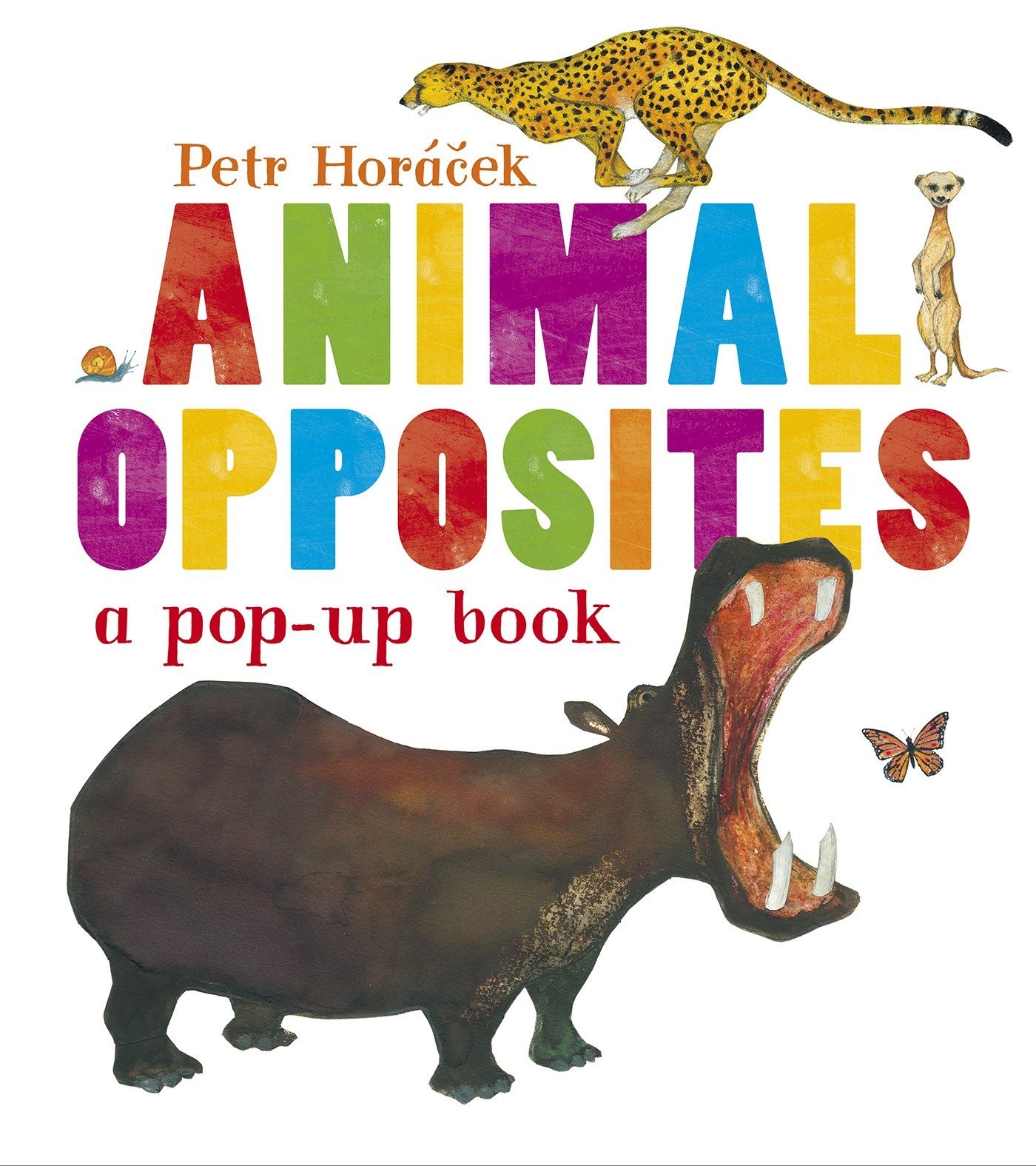 Storytime Spotlight: It Started with a Birthday and Ended with Some ...