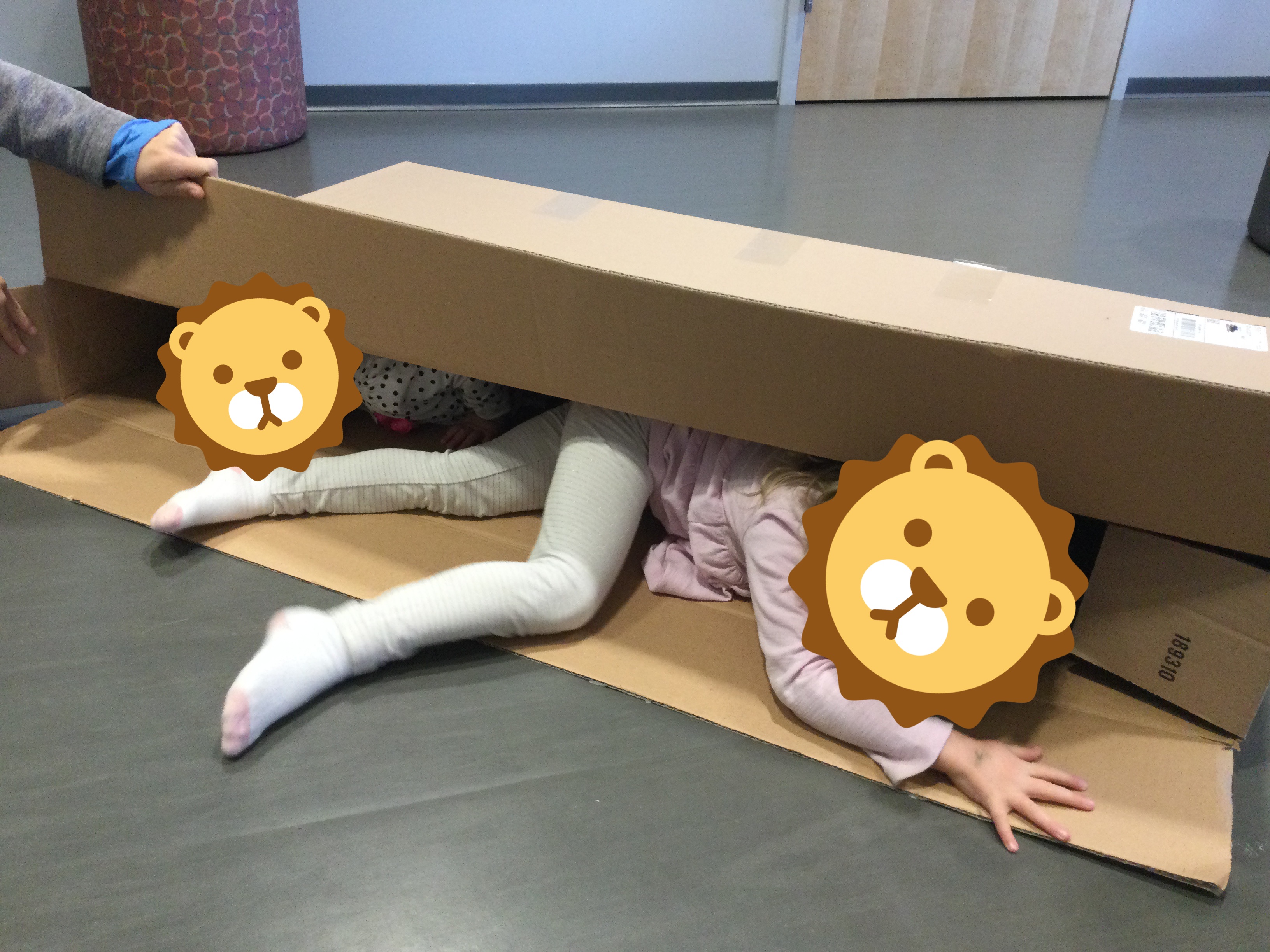 STEAM Storytime Spotlight: Boxitects – Storytime in the Stacks