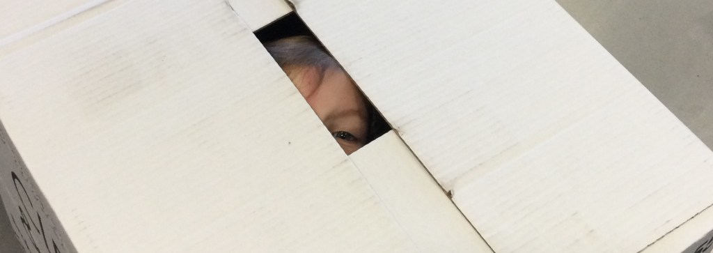 STEAM Storytime Spotlight: Boxitects – Storytime in the Stacks