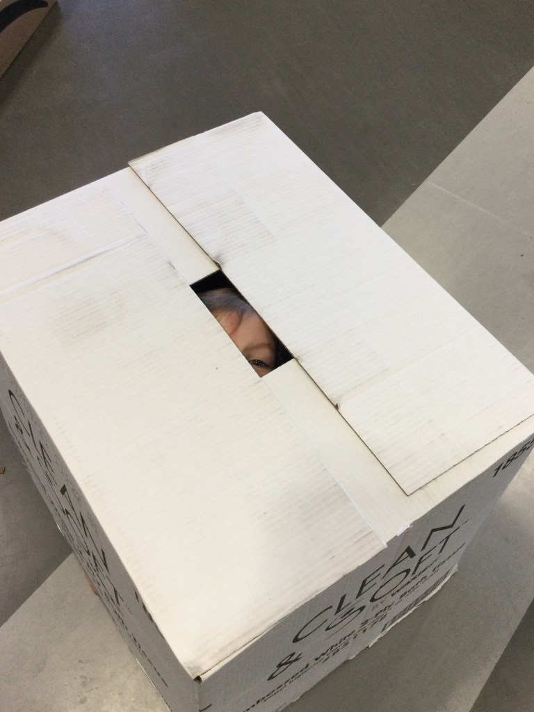 STEAM Storytime Spotlight: Boxitects – Storytime in the Stacks